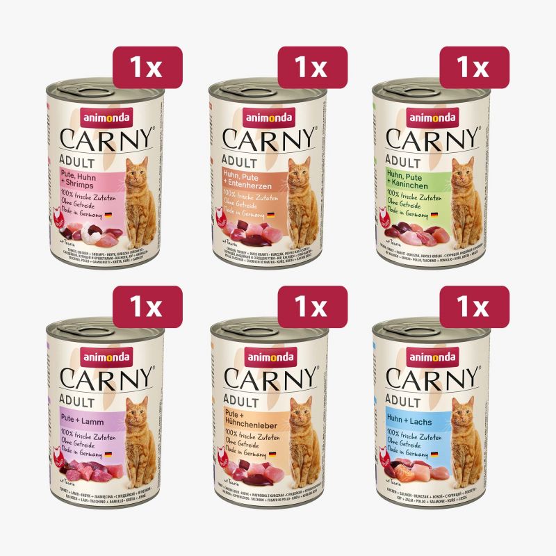 Carny Adult Geflügel Variation | Katzenfutter